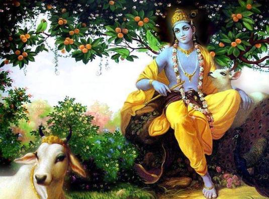 Perfect Answers Perfect Questions | The Hare Krishna Movement