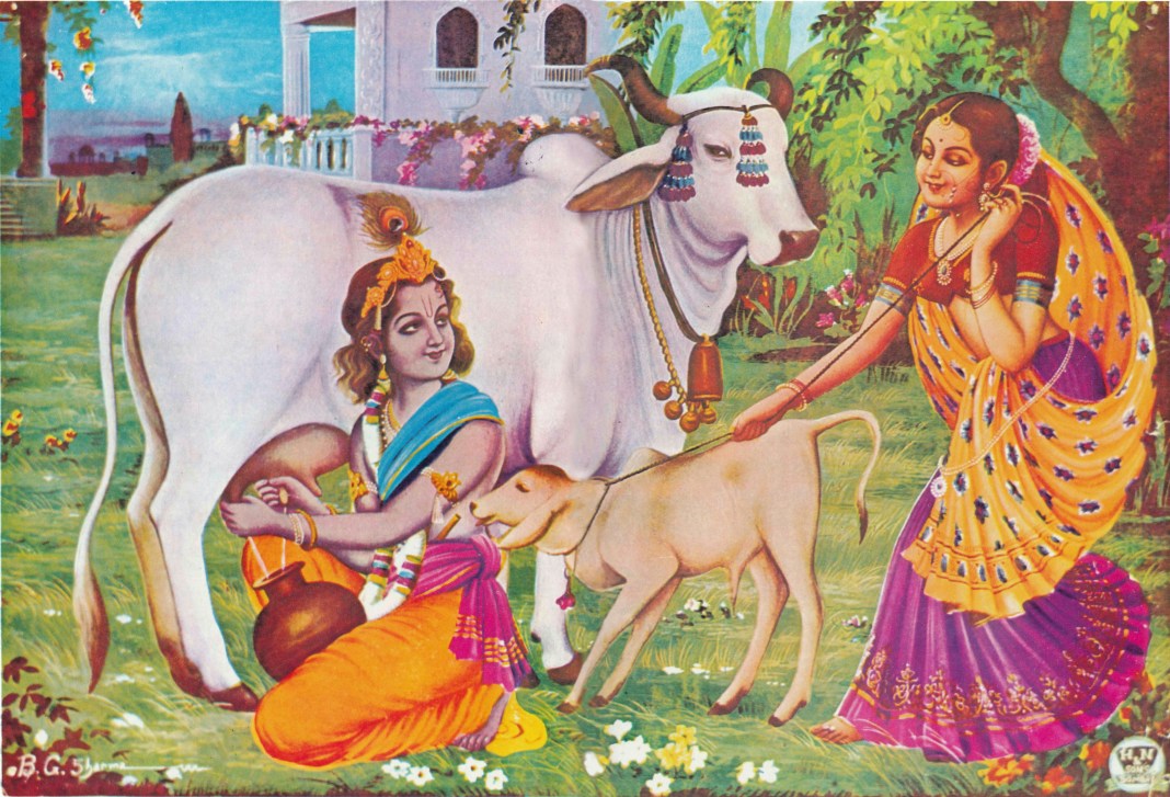 Milk | The Hare Krishna Movement