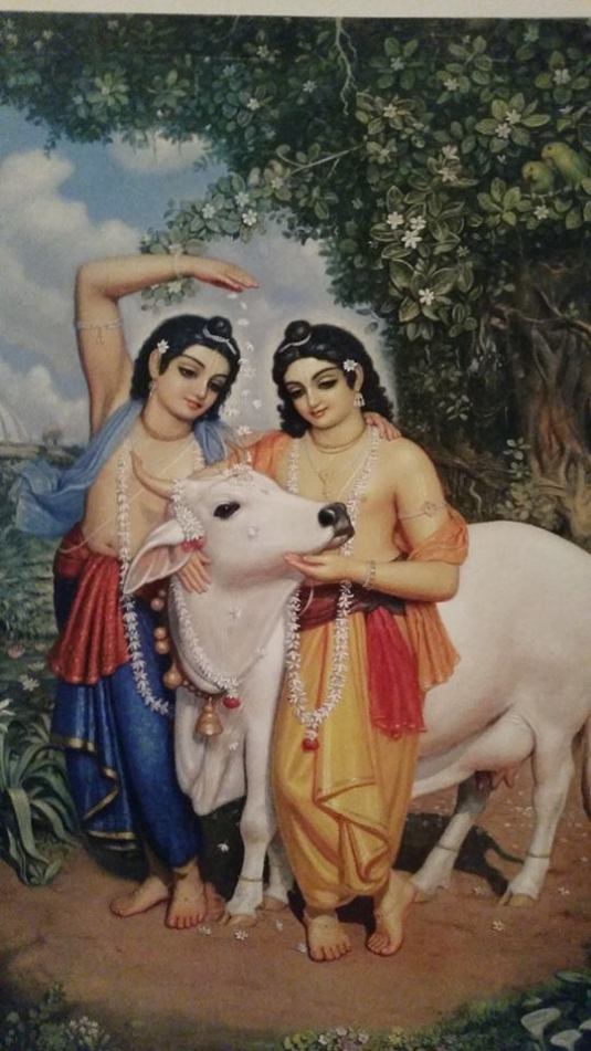 Krsna and Balarama Nectar | The Hare Krishna Movement